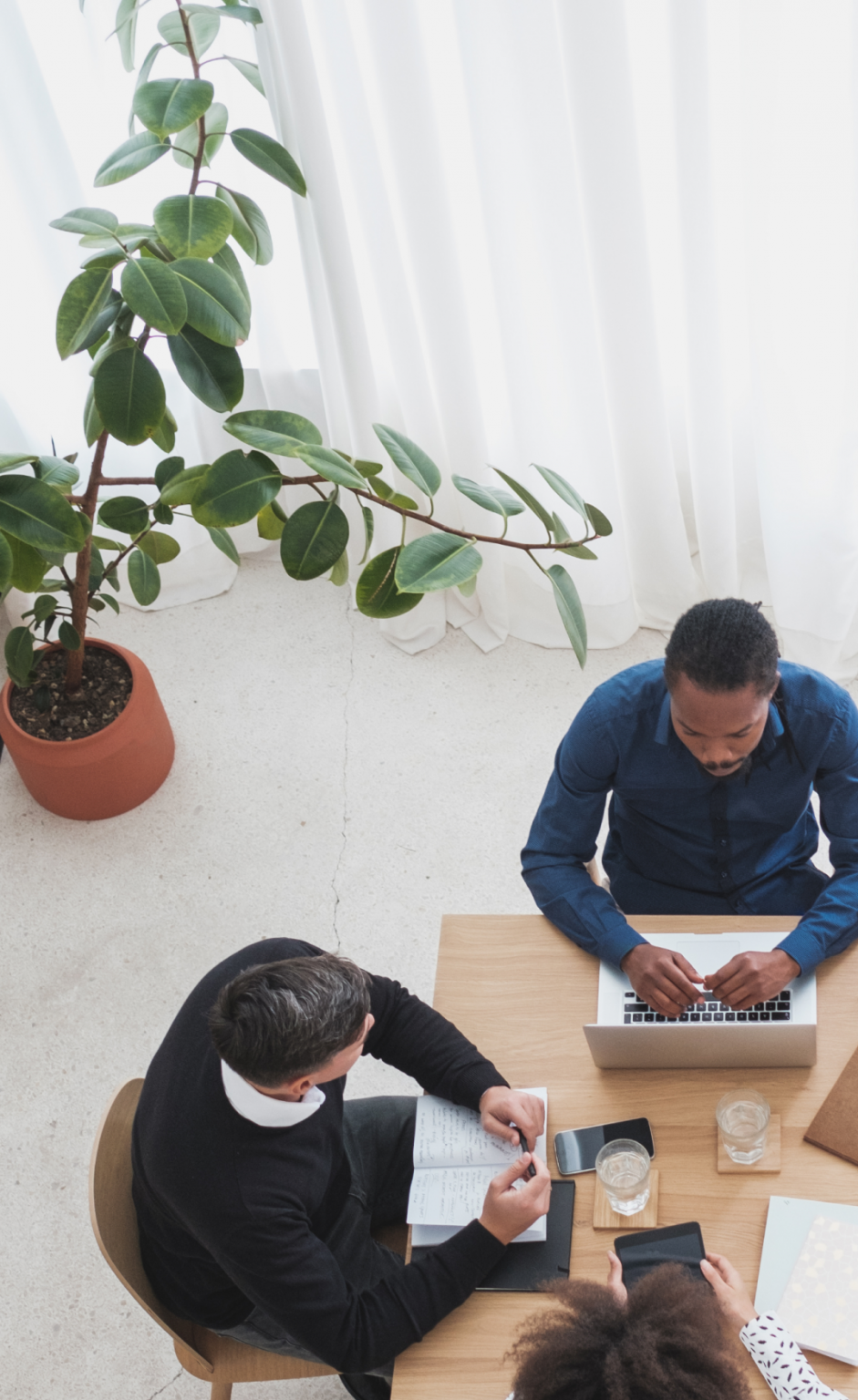 Team - Traders In Purple