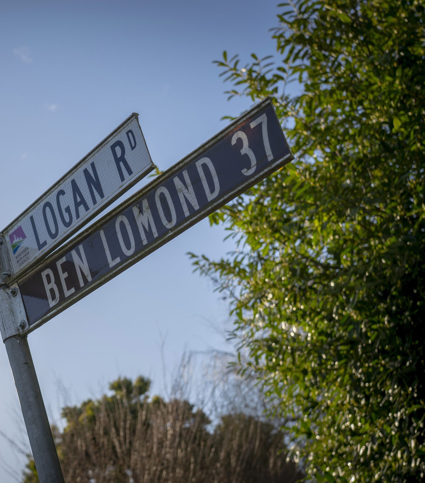 Logan Road, Evandale, TAS - Traders In Purple